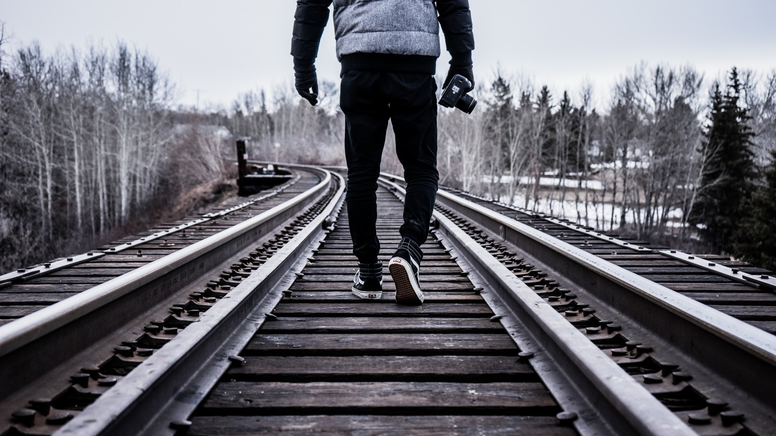 How do I create a Twitter Web Tag? - Sotrender Blog Sotrender Blog