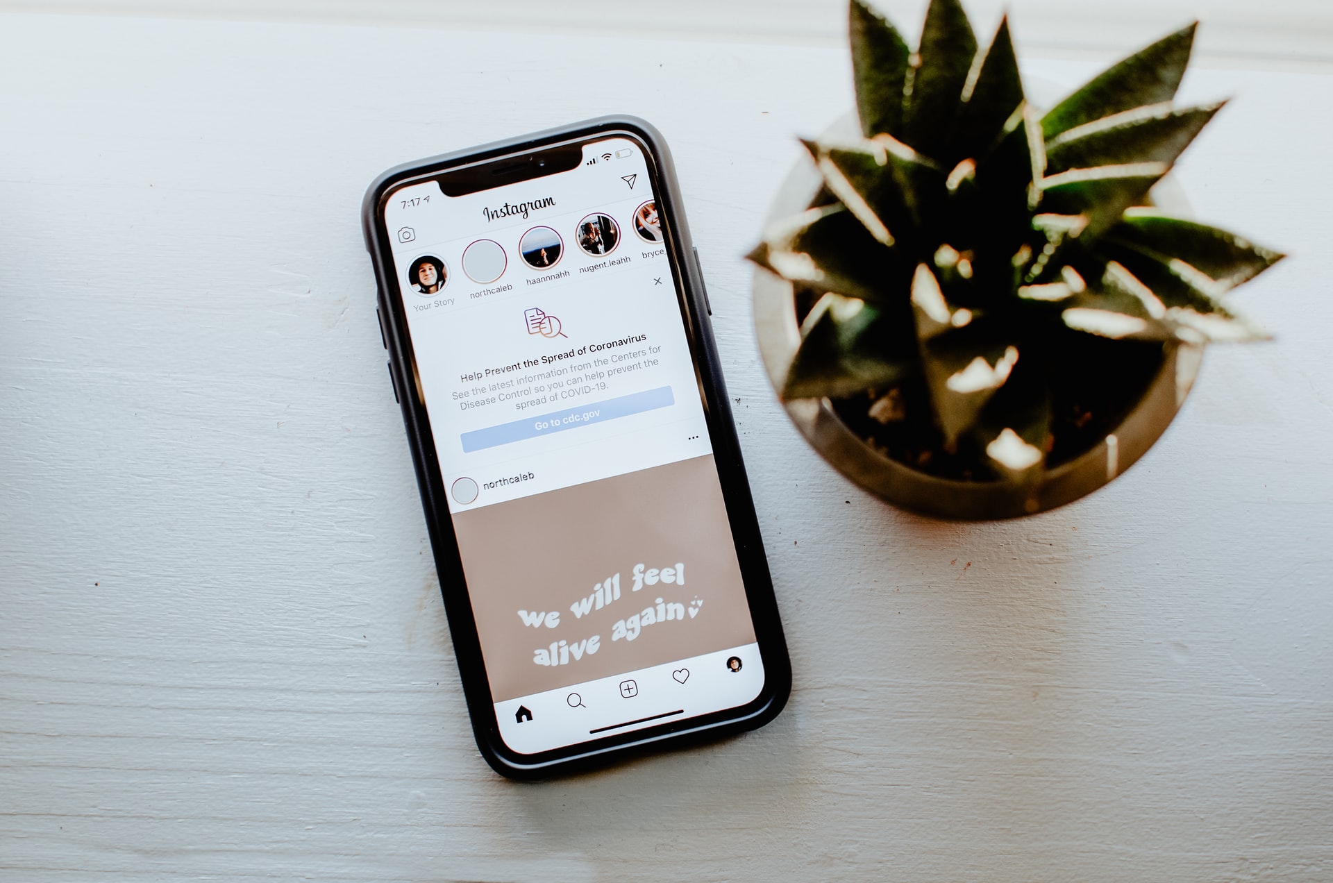 How can I see my historical Instagram data? Sotrender Blog